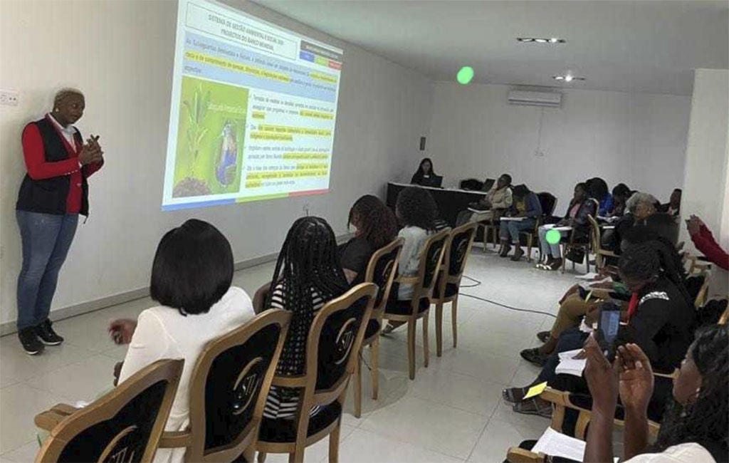 Quadros participantes do Inquérito de Indicadores Múltiplos e de Saúde ...